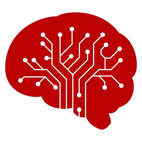 Entrar A Cmu ¿qué Necesitas Saber Ineurociencias