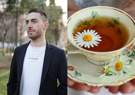 რა სარგებელი აქვს გვირილის ჩაის პასუხები გიორგი ღოღობერიძისგან Gemrielia Ge