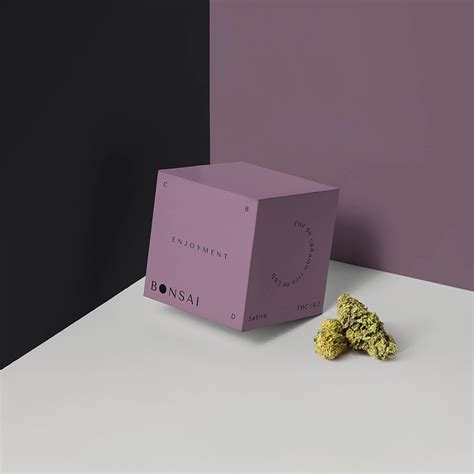 Weed Boxes In Usa Packpro Packaging
