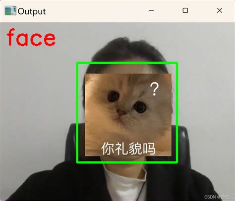 Python之opencv库haar级联分类器检测人脸 ‘haarcascadefrontalfacedefaultxml‘能不能用