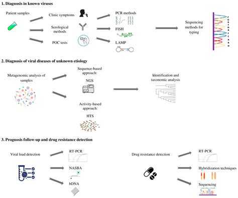 Infectious Agent Detection By Nucleic Acid Dna Or Rna Human