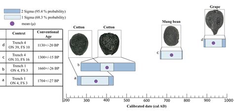 Radiocarbon Dates Obtained On Carbonized Grains Recovered From Trenches