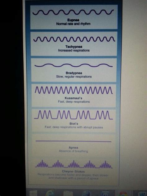 Respiration Patterns In Applied Science