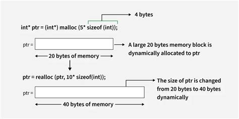 Dynamic Memory Allocation In C Using Malloc Calloc Free And