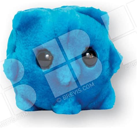 Rhinovirus The Common Cold Plush Microbe Brevis