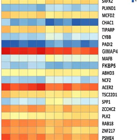 hierarchical clustering of samples based on the expression level of
