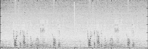 spectrograms of the noisy signal and beamformer output download