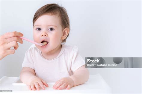 아기 소녀 먹는 혼합 으깬 음식 앉아 높은 의자에 어머니 먹이는 아이 야채 점심 식사를위한 숟가락으로 손 아기 이유식 어린