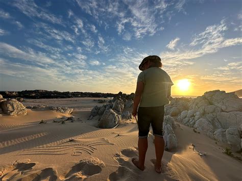 Iala Youtube Feed Iala Gap Year