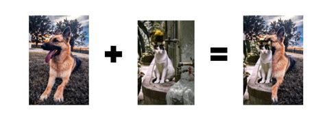 The Ultimate Guide To Data Augmentation In Computer Vision Encord