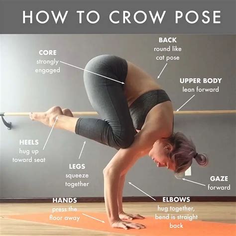 Crow Vs Crane Pose Crow Pose And Crane Pose The Complete Beginners