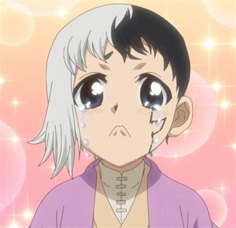 Gen Asagiri Dr Stone Gin Doctor Stone Dr Stone Pfp Dr Stone Gen
