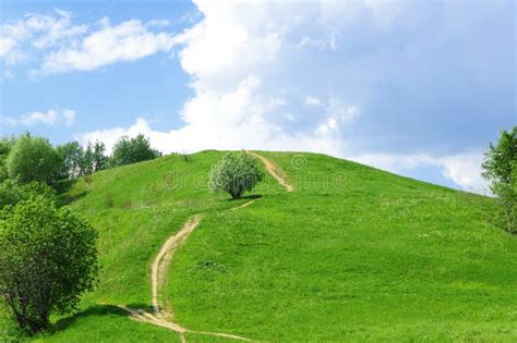 Green Grass Hill Stock Image Image Of Grass Horizon 18015733