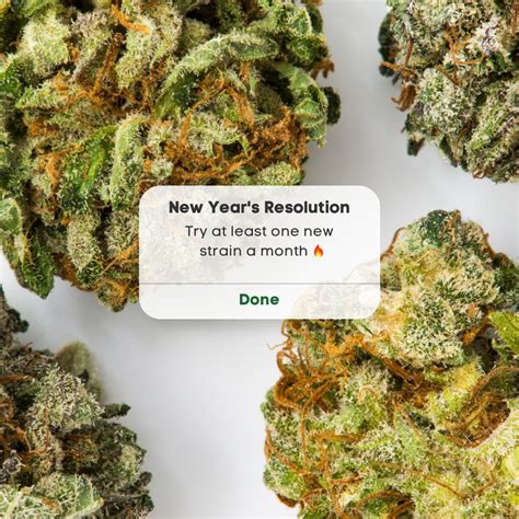 Green Kong Perris Ca