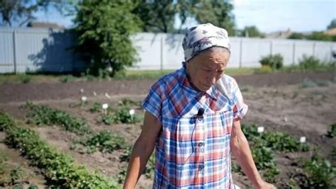 Как бороться с нематодой на клубнике Почему сохнут кусты клубники земляники Смотреть онлайн