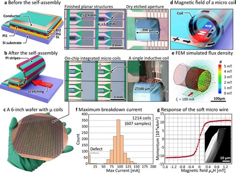 Self Assembled Micro Coils Exemplified For Coil Pair Sample Design A Download Scientific