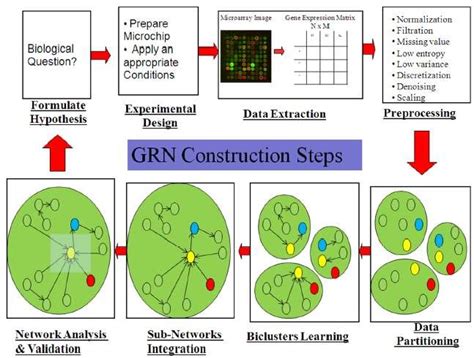 Basic Steps Involved In Grn Construction Download Scientific Diagram
