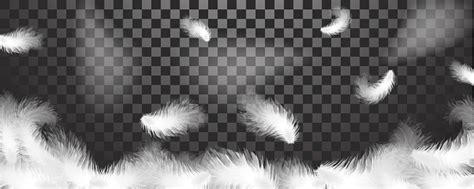 투명 한 배경에 고립 Twirled 현실적인 깃털 떨어지고 3차원 형태에 대한 스톡 벡터 아트 및 기타 이미지 3차원 형태 검은색 그리기 Istock