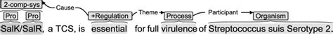 3 Example Annotation From Bionlp Shared Task Infectious Diseases