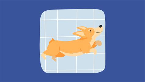 The Most Common Dog Sleeping Positions Explained | Sleepopolis