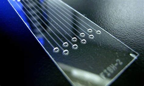 Microfluidic Chip Market Is Booming Worldwide Fluidigmagilentmicronit Newstrail