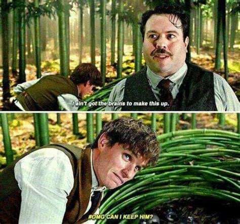 Newt Harry Potter Amino