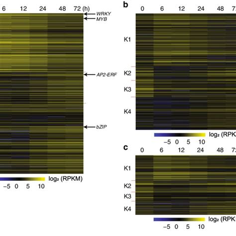 Qrt Pcr Verification Of Six Selected Degs Comparison Of Rna Seq Data