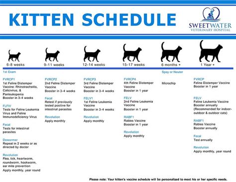 Printable Cat Vaccinations Printable Vaccine