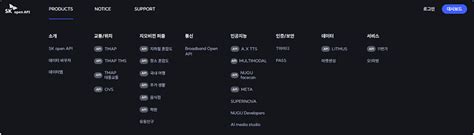 Api 가이드 제작 Skt Open Api 사례