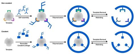 Molecularly Imprinted Polymer Based Sensors For Protein Detection