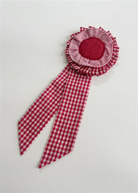 Show Pony Ribbon — Lasso La Lune