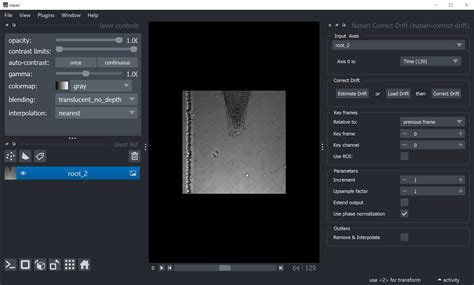 How To Using ROI Napari Correct Drift Documentation