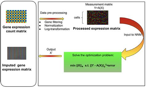 Frontiers | McImpute: Matrix Completion Based Imputation for Single Cell RNA-seq Data