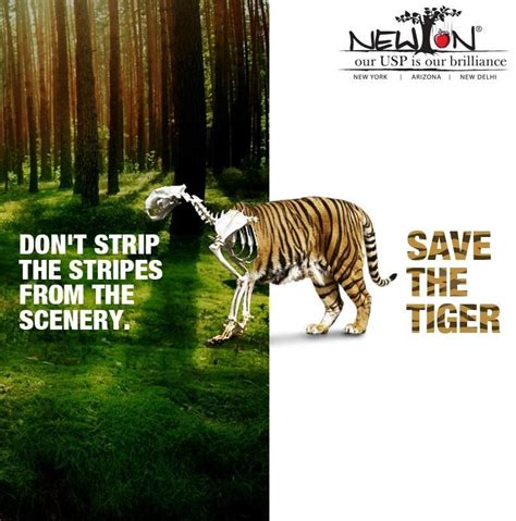 Mohd Shoeb Posted On Linkedin