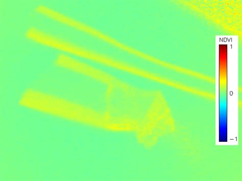 阿簡生物筆記 Python Opencv即時製作ndvi影像