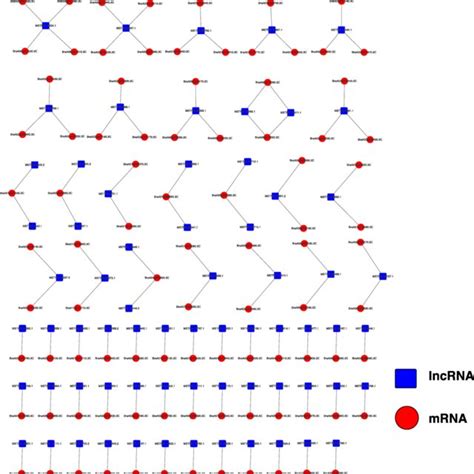 Co Expression Network Of Differentially Expressed Long Coding Rnas