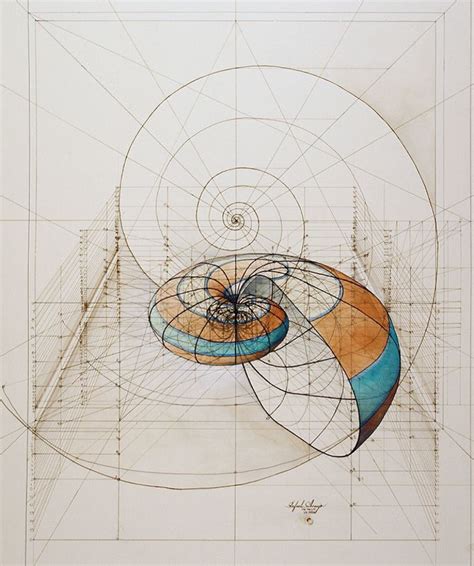 Celebrate The Mathematical Beauty Of Nature With The Fibonacci Coloring Book Artofit