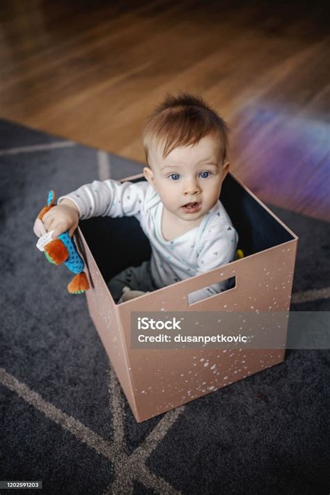상자에 앉아 자신의 좋아하는 장난감을 가지고 노는 장난 백인 사랑스러운 작은 금발 소년의 상단보기 홈 인테리어 가정 생활에 대한 스톡 사진 및 기타 이미지 Istock