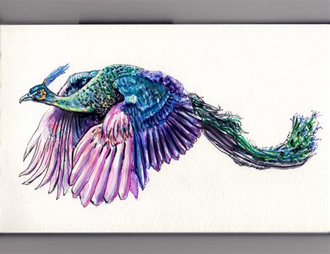 When Peacocks Fly ~ Doodlewash®