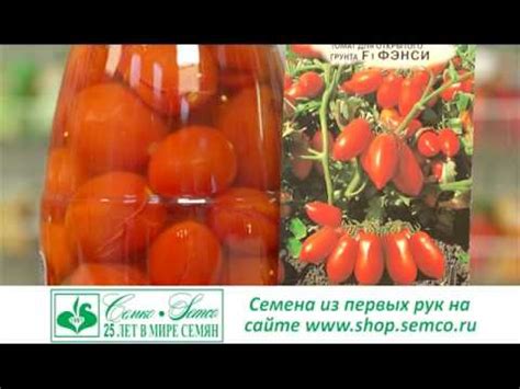 Скороспелые томаты для консервирования. Советы и секреты. Выпуск 24 ...