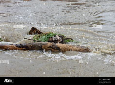Wooden Debris And Logs Carried By A Strong River Current After Heavy