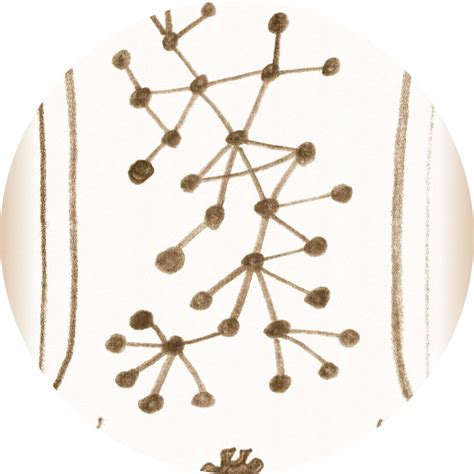 slide set 14 mixed random networks complex networks
