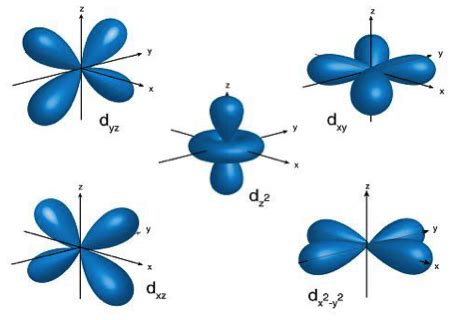 Section The Shapes Of Atomic Orbitals TFChem