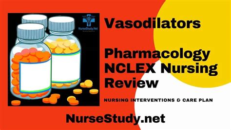 Vasodilators Examples Natural At Carole Spears Blog