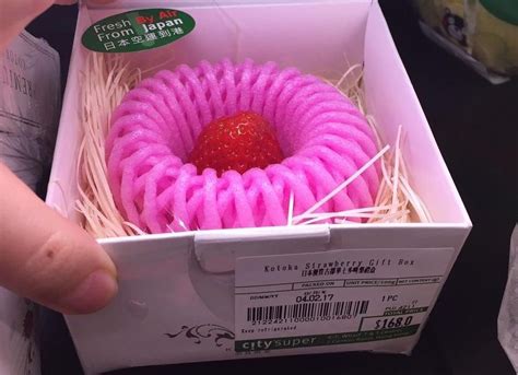 18 Reasons Why Plastic Really Fucking Rules