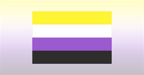non binary flag is