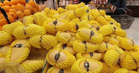 금값 된 사과 때문에 파인애플·망고 수입 역대 최대