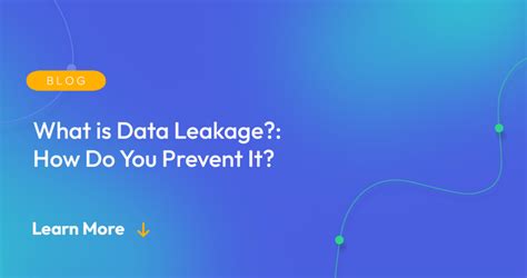 What Is Data Leakage How Do You Prevent It