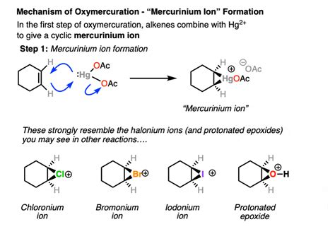 Oxymercuration Demercuration Of Alkenes Master Organic Chemistry
