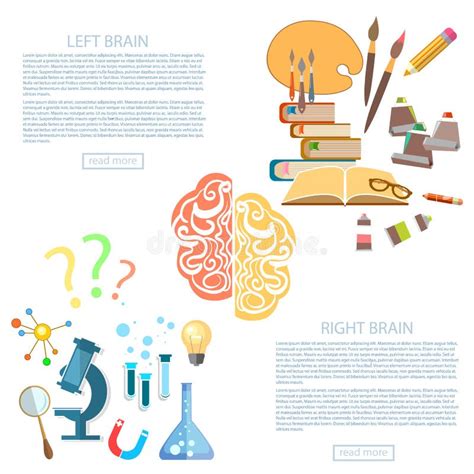 Left And Right Brain Infographics Stock Vector Illustration Of